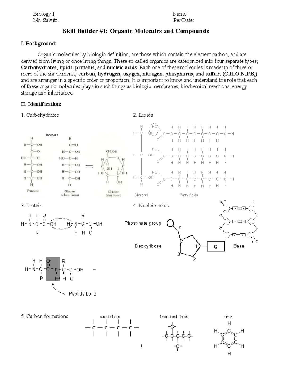 Biology I - Skill Builder: Organic Molecules & Compounds Overview - Studocu
