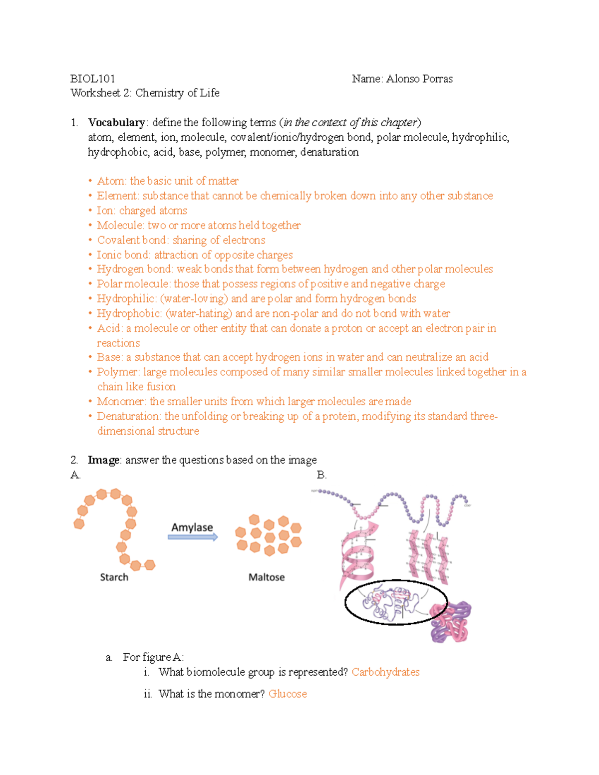 BIOL101 WS2 sp23 - Worksheet 2: Chemistry of Life Concepts - Studocu