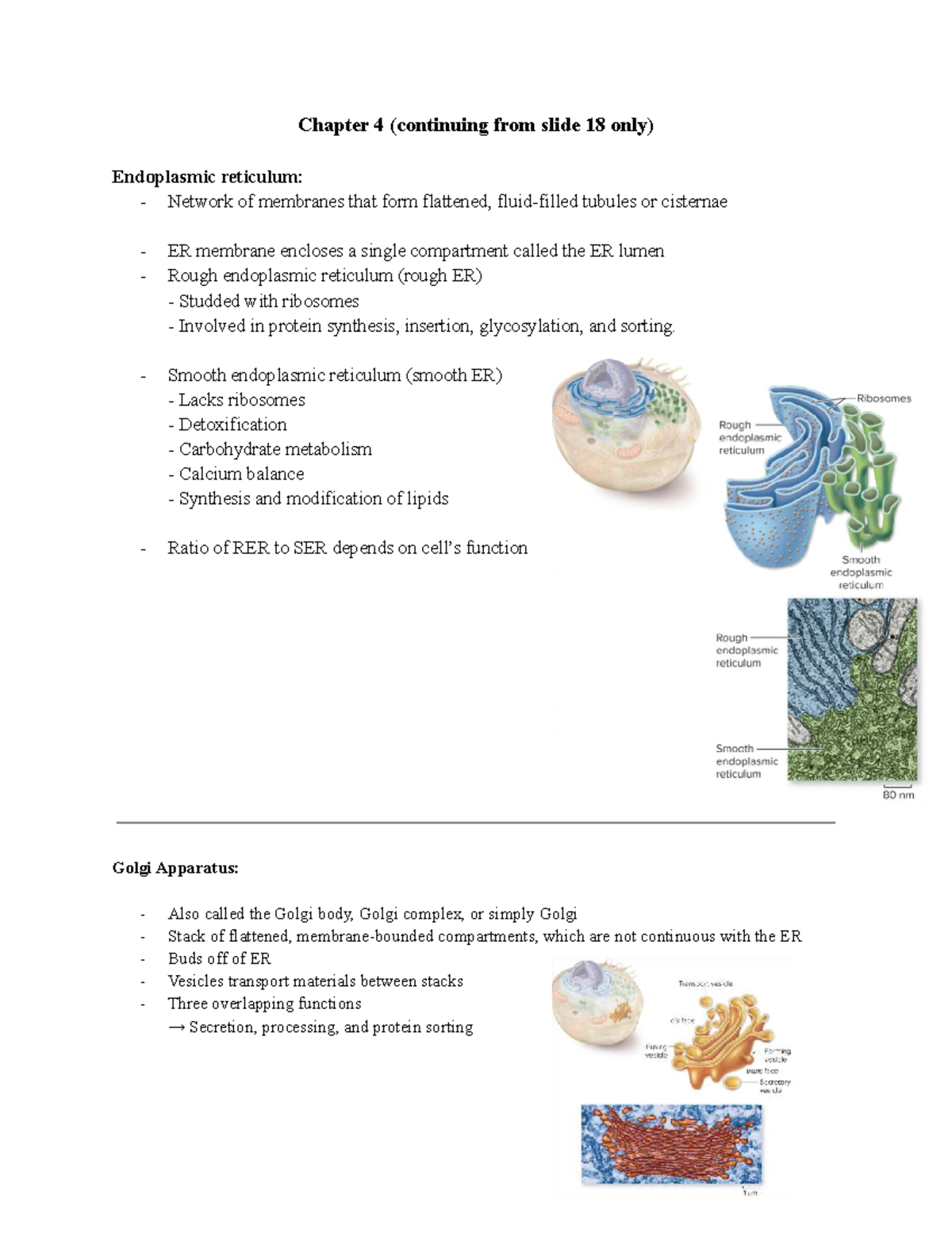 Bio Cell and Molec Midterm #2 Notes: Chapter 4 Overview - Studocu