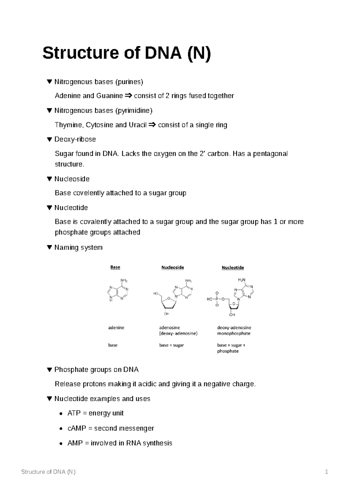 Structure of DNA lecture notes - Structure of DNA (N) Nitrogenous bases ...