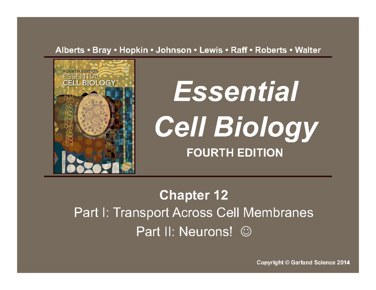 Cell Biology (CSCI 303) Chapter 12: Membrane Transport & Neuron Signaling - Studocu