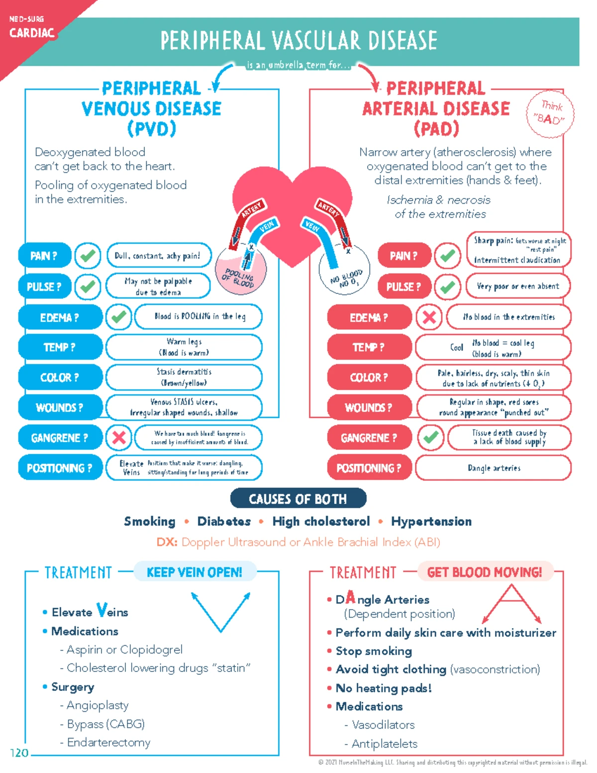 Peripheral Vascular Disease (PVD) & Arterial Disease (PAD) Notes - Studocu
