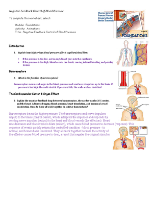 Bio291 v4 wk2 debrief memo - BIO/291 v Cardiovascular System Debrief ...
