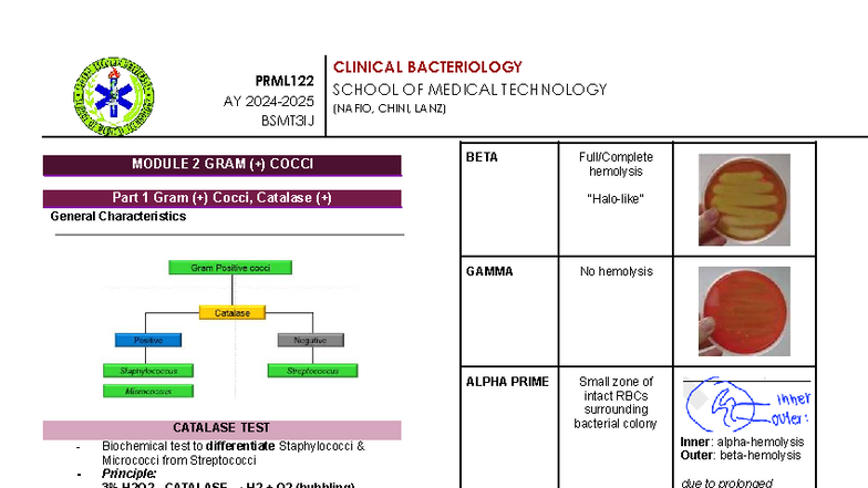 PRML122 AY BSMT3IJ CLINICAL BACTERIOLOGY LECTURE: GRAM COCCI OVERVIEW - Studocu
