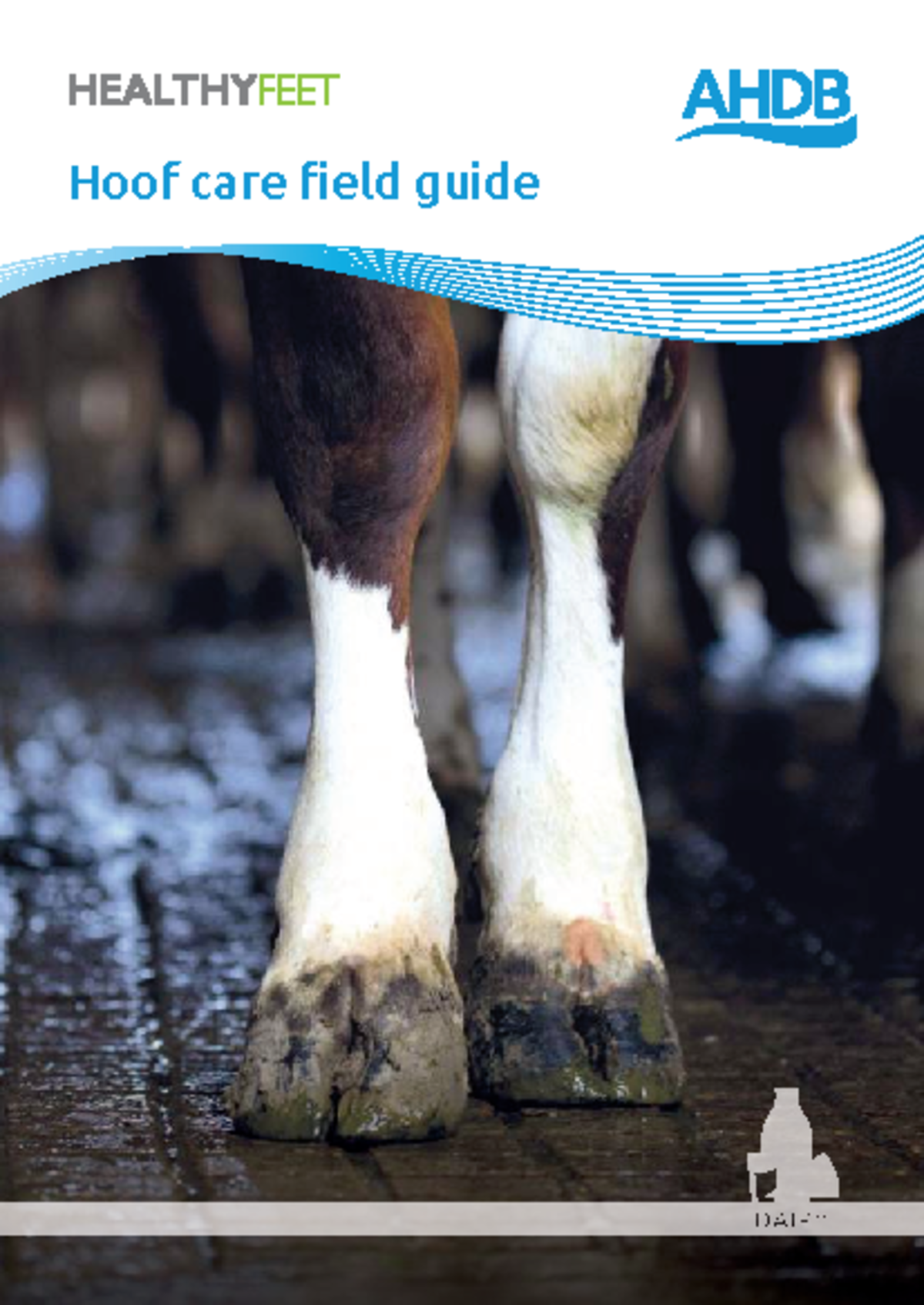 Hoof Care Guide: Reducing Lameness in Dairy Cattle (HFP) - Studocu