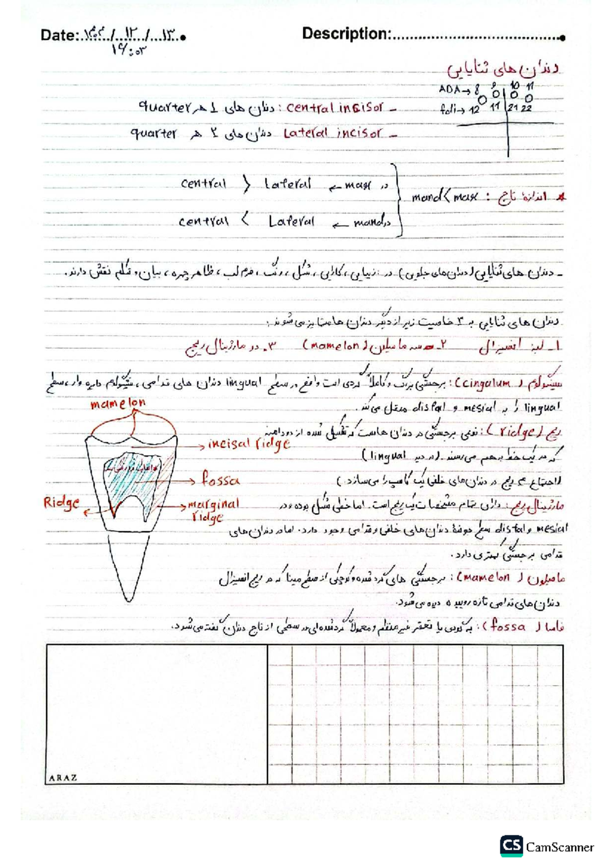 Islamic Republic of Clowns PT Final Exam 4 Notes - Studocu