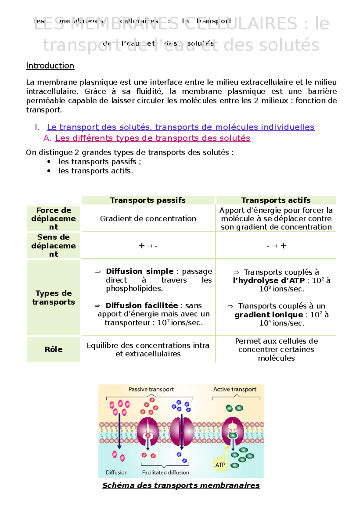 Les membranes cellulaires : transport de l'eau et des solutés - Studocu