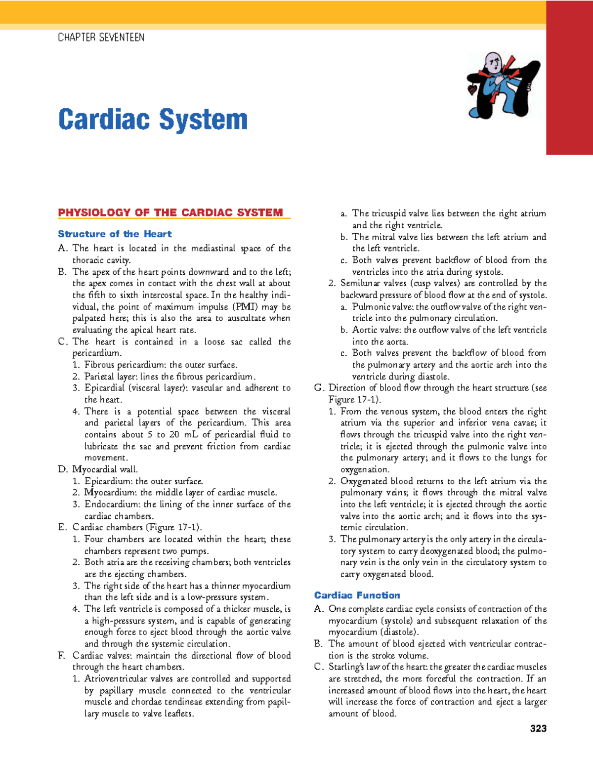 323 - Chapter 17: Cardiac System Cheat Sheets and Key Concepts - Studocu