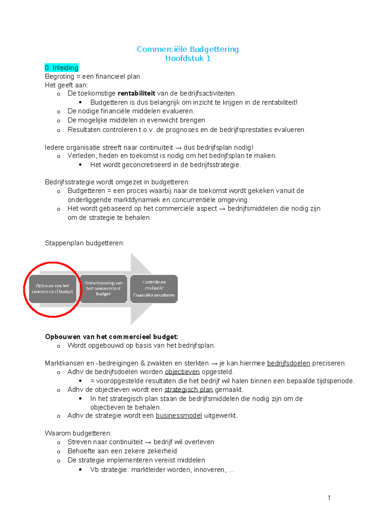 SMV - Commerciële Budgettering: Inzicht in Bedrijfsstrategieën - Studocu