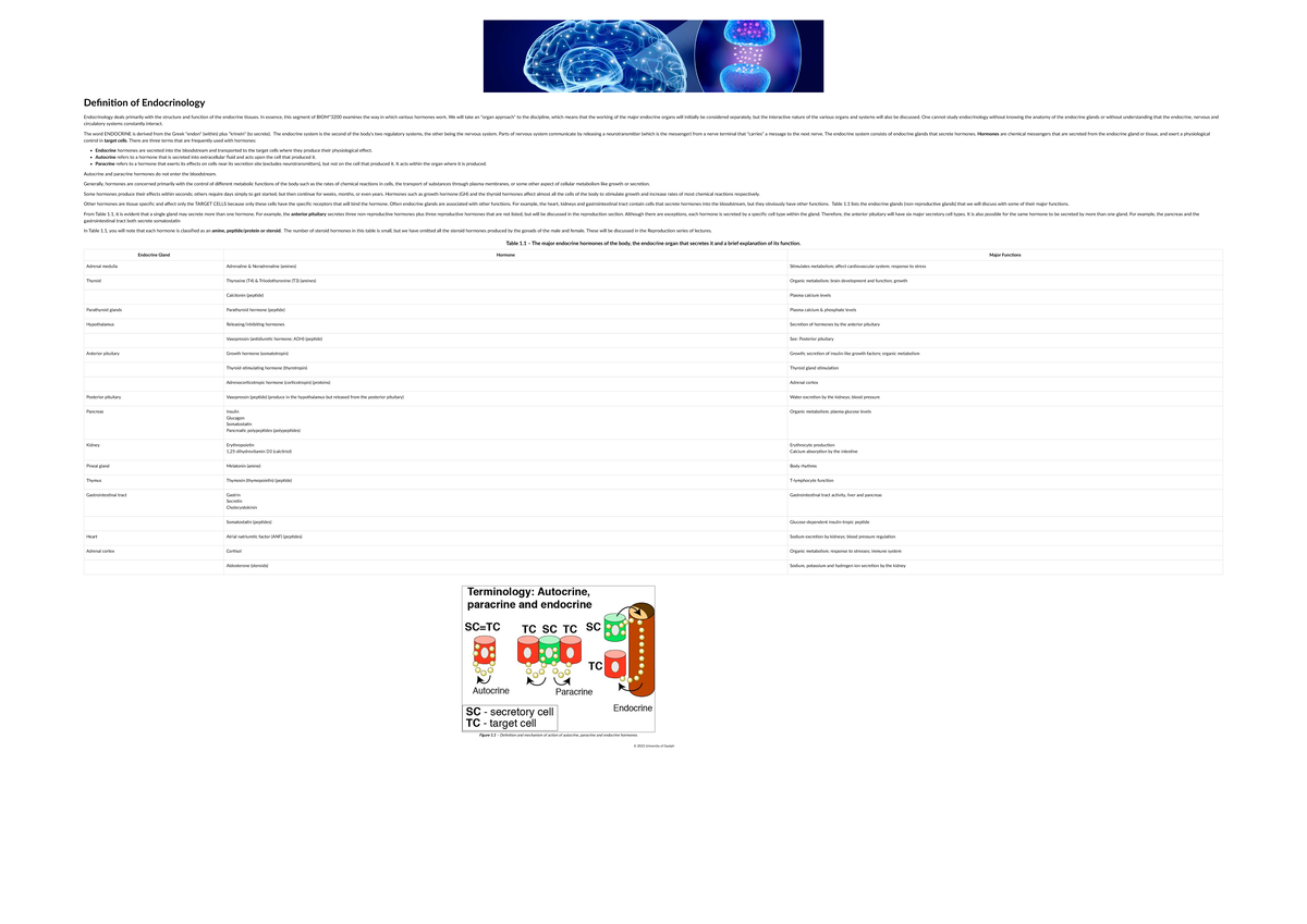 Definition of Endocrinology - BIOM 3200 (DE01) - Overview of Hormonal ...