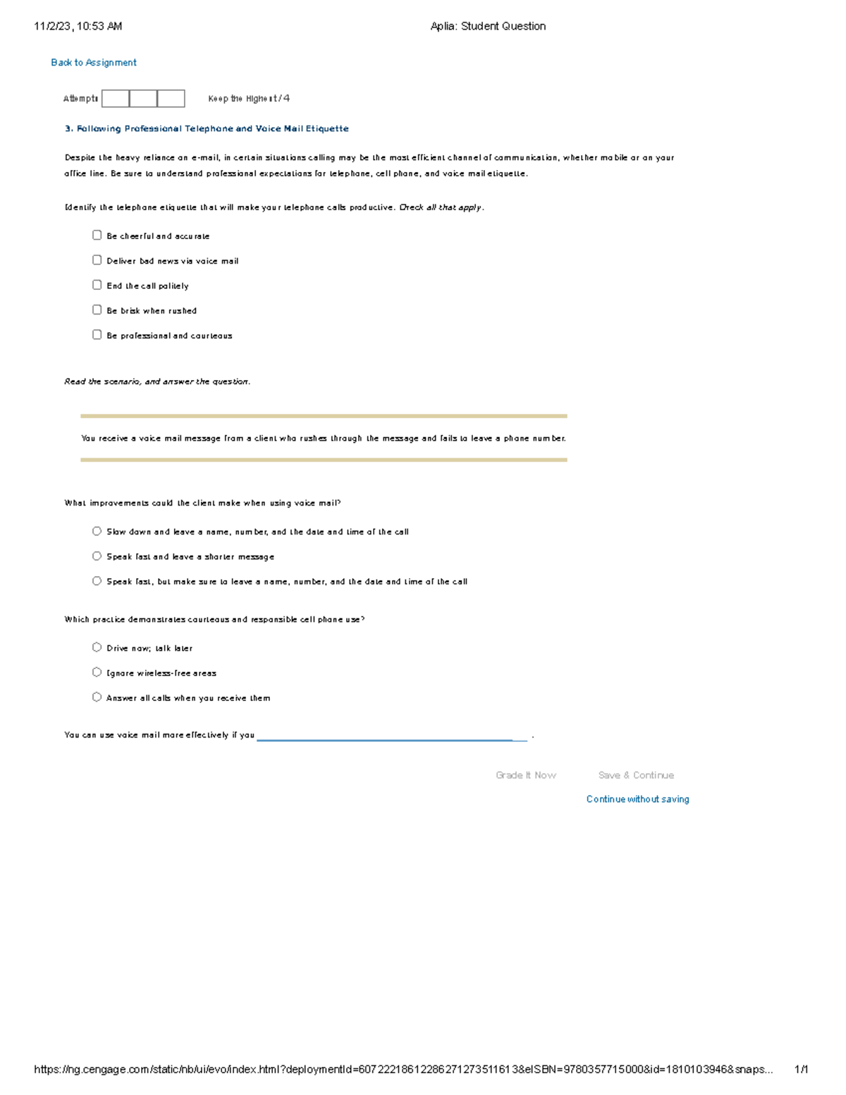 3. Following Professional Telephone and Voice Mail Etiquette - 11/2/23 ...