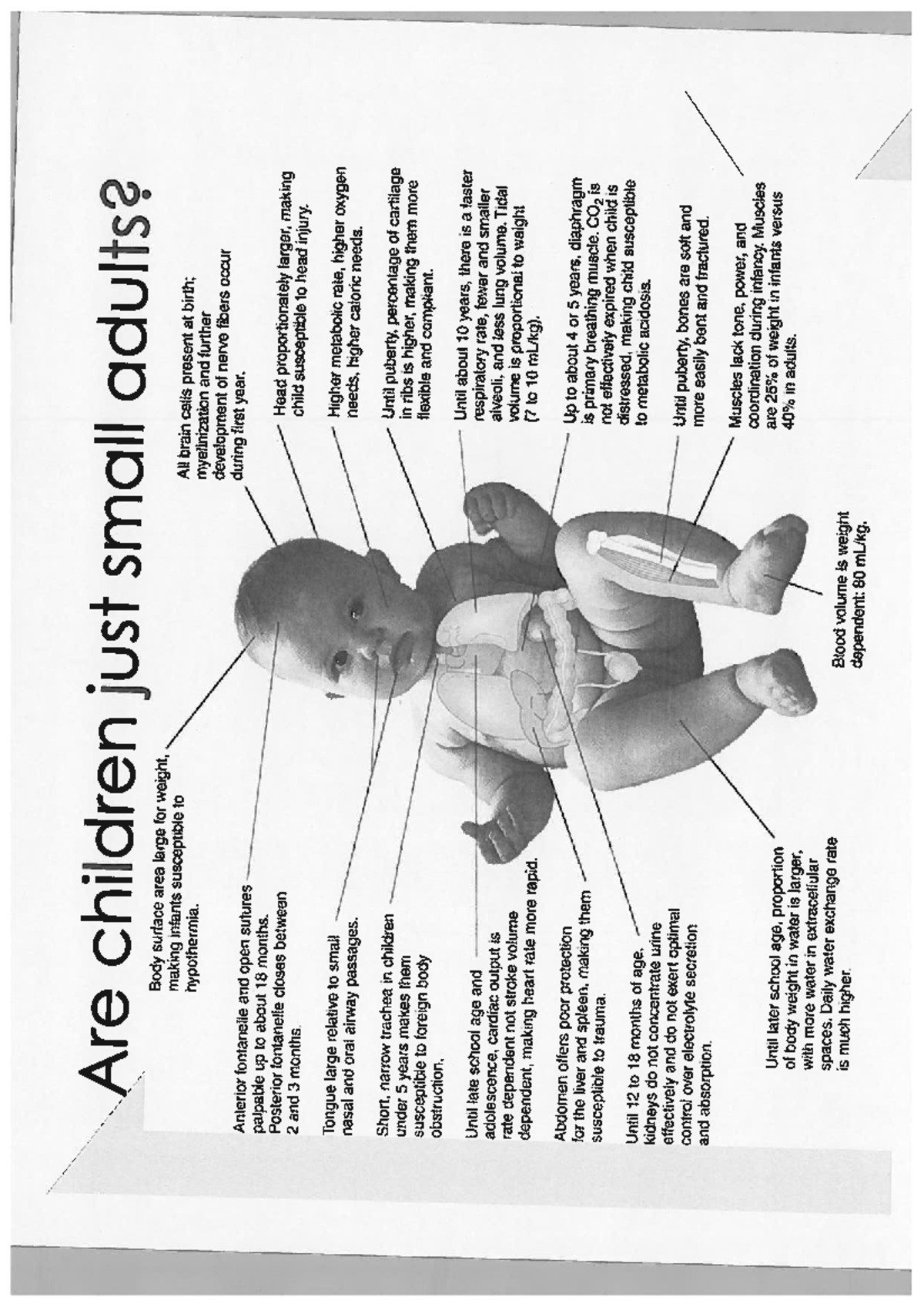 Are children just small adults hand out - Are children just small ...