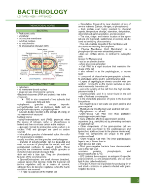 Bacte - Bacteria Bacilli Cocci Branching filaments Aerobic Anaerobic ...