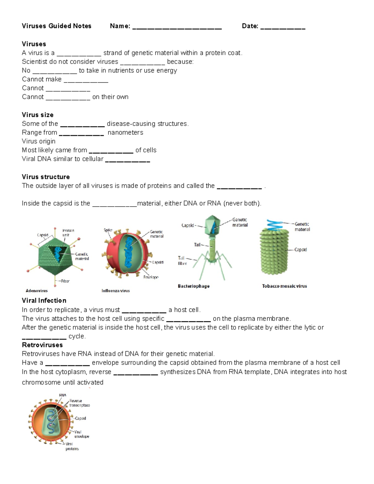 BIO 101: Guided Notes on Viruses and Their Structure & Function - Studocu