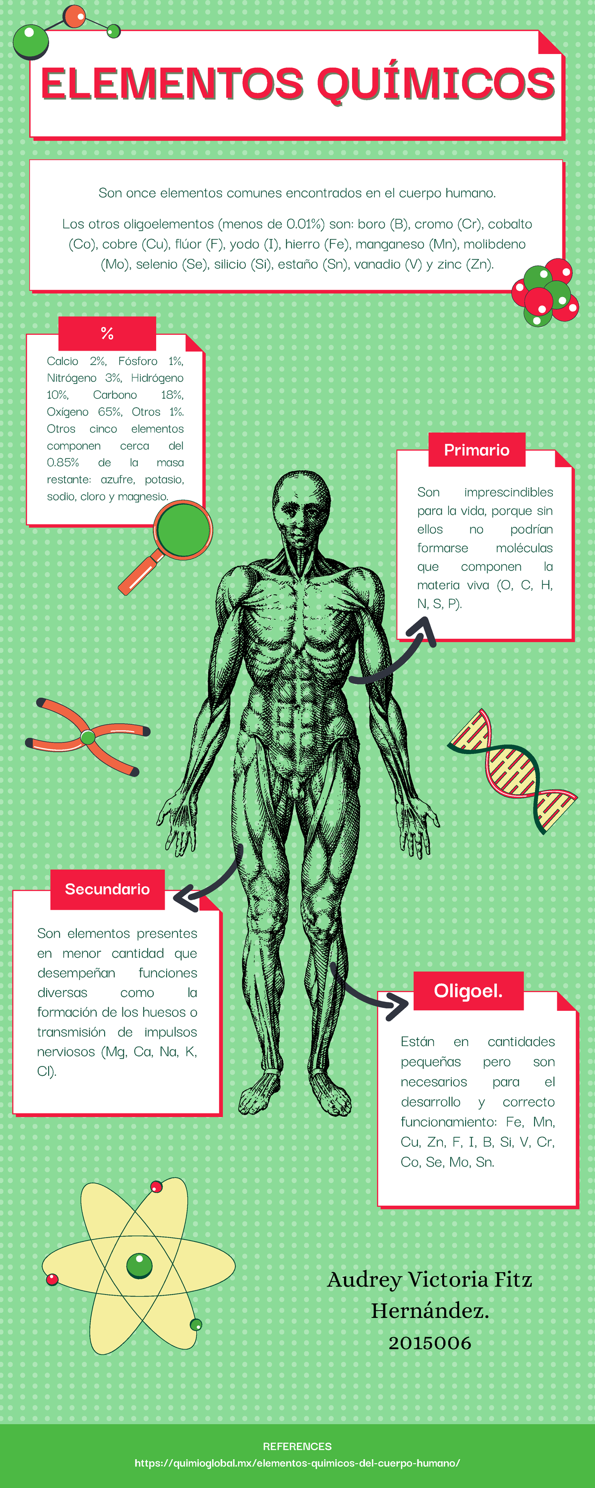 Elementos químicos que constituyen el cuerpo humano Infografías - Son ...