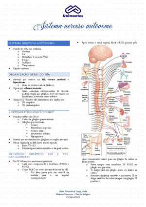 Reflexo - Resumo acadêmico - REFLEXO 1) Compreender como funciona o ato ...