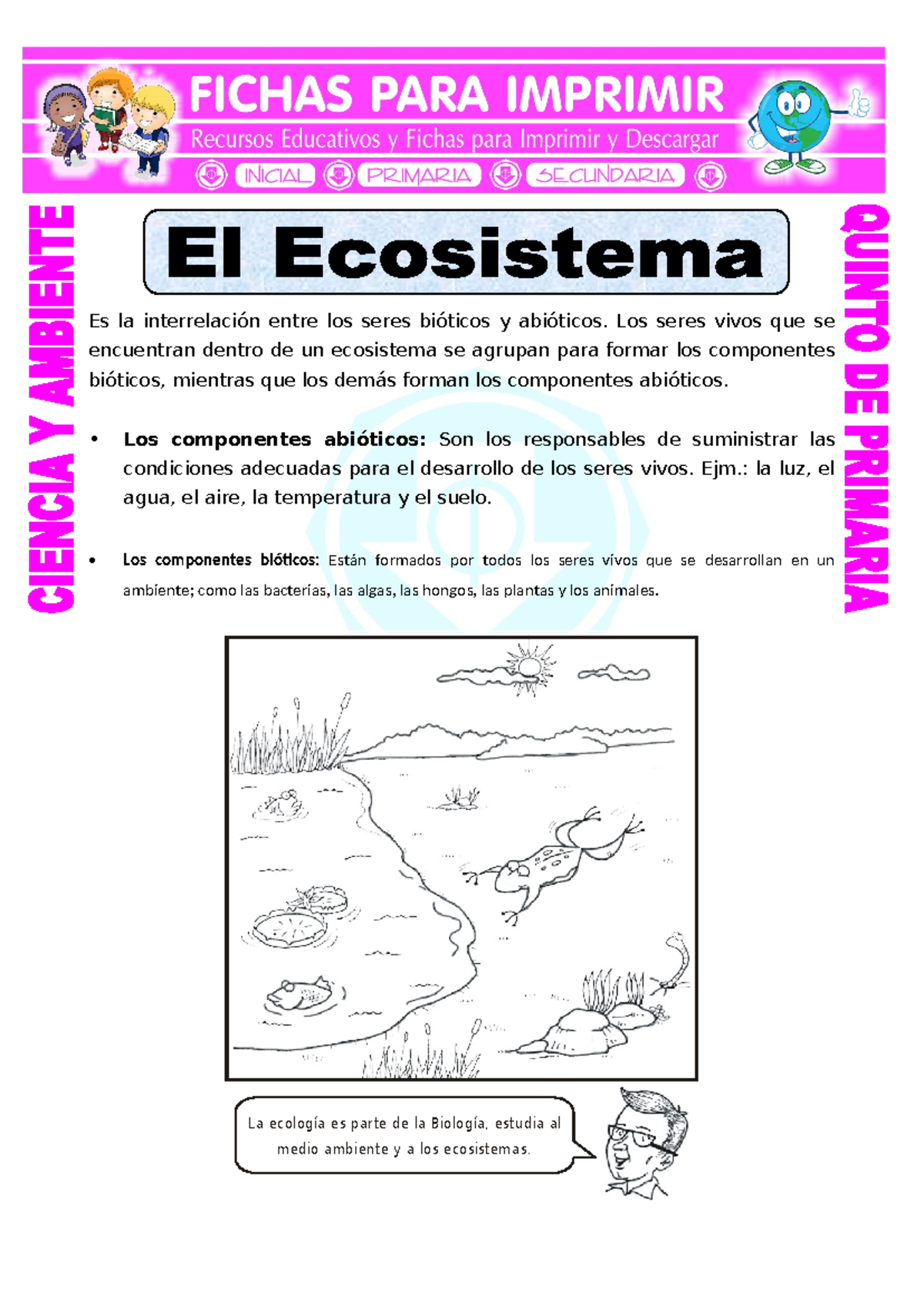 Fichas De Trabajo Sobre Biomas Y Ecosistemas Biomas Trabajo Final