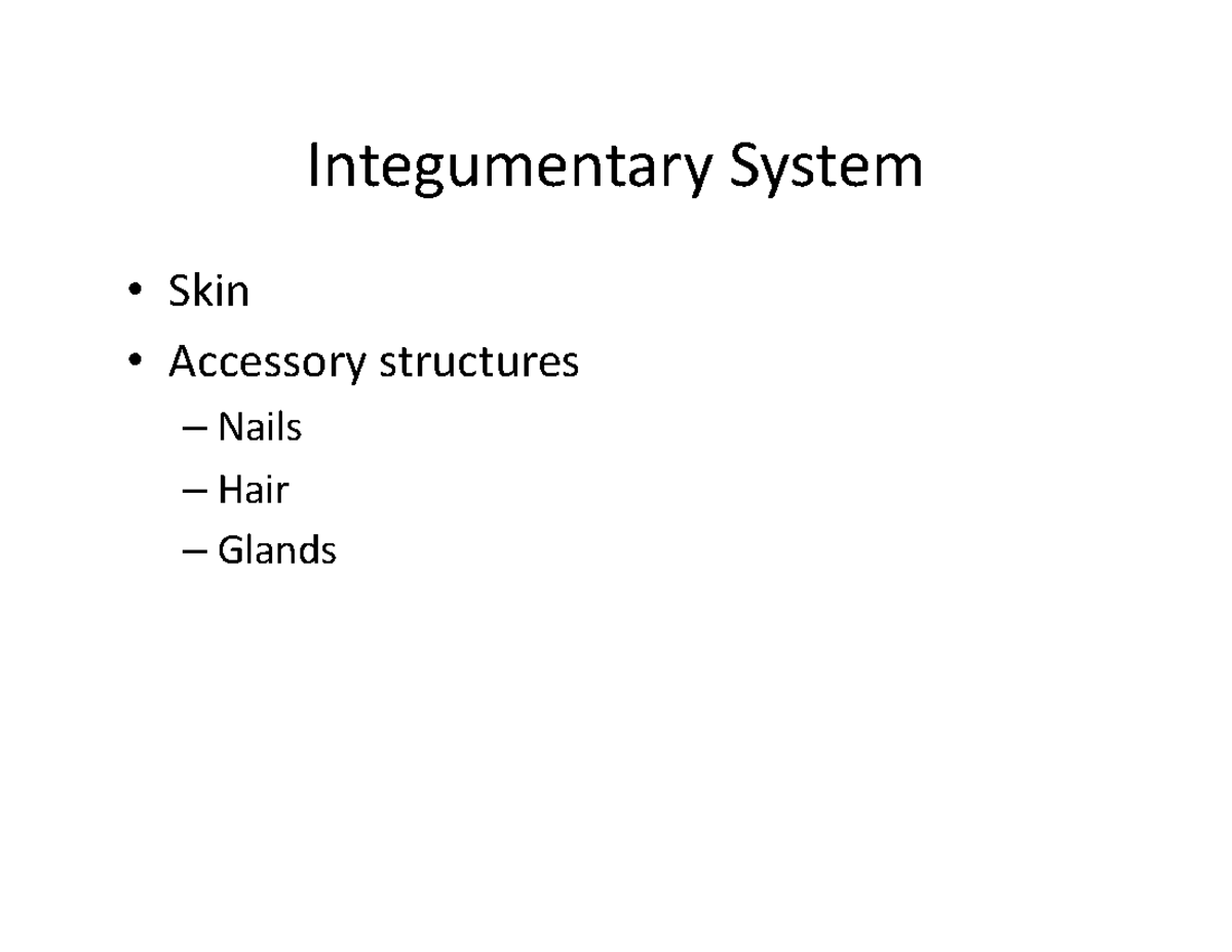 Ch 5 Integumentary System Overview - Lecture Slides - Studocu