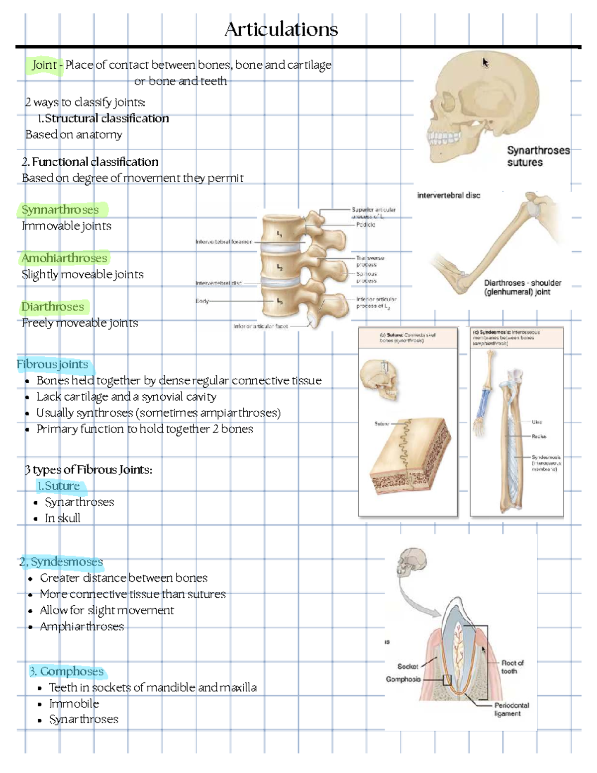 Biology 101 - Week 5 Lecture Notes on Joint Articulations - Studocu