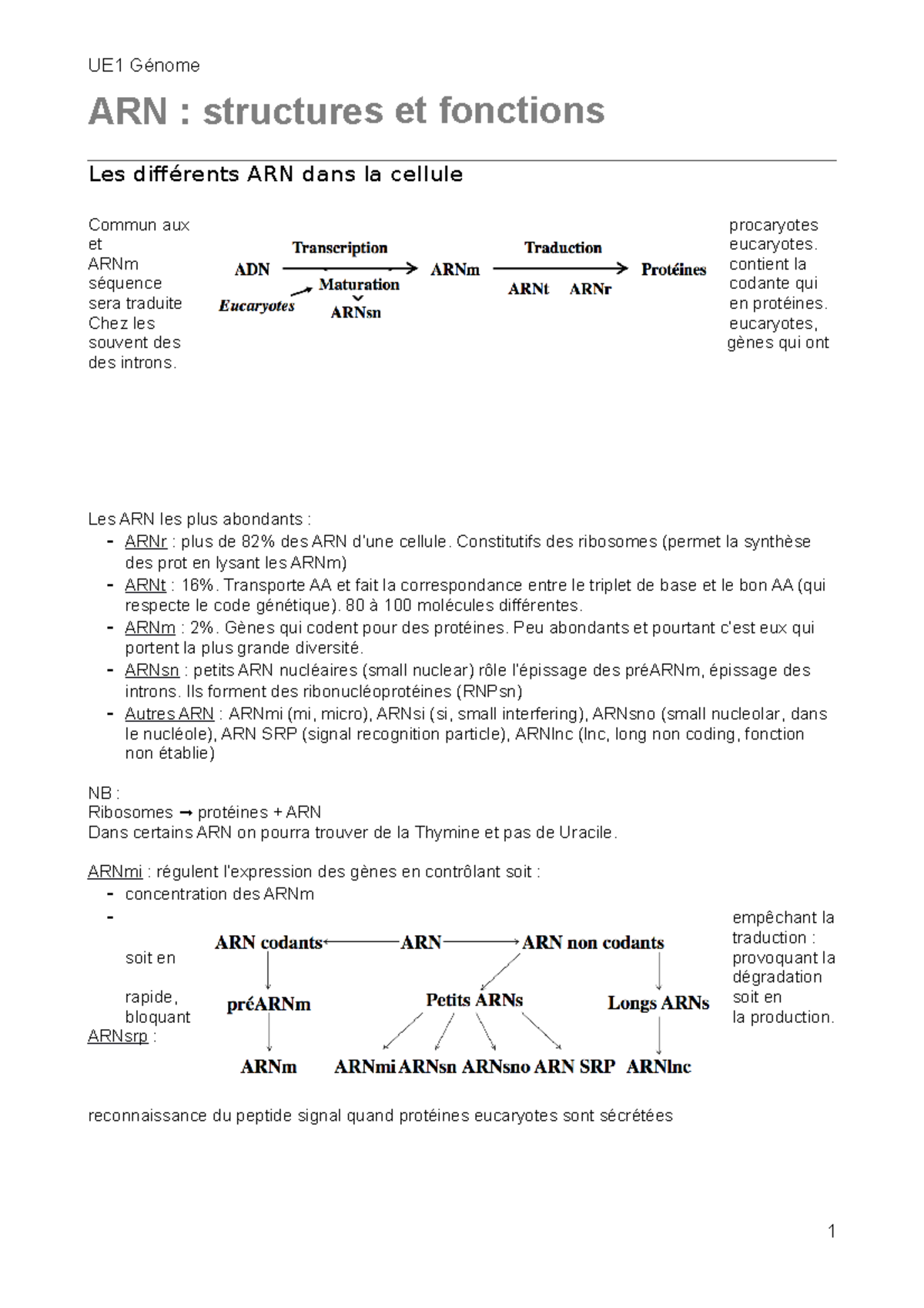 ARN Cours du Professeur Langin : Structures et Fonctions des ARN - Studocu