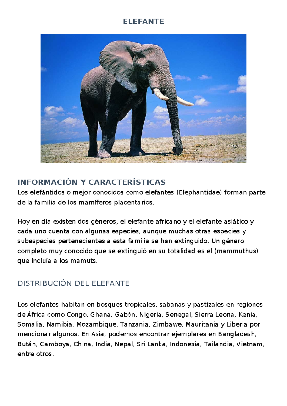 Texto Expositivo sobre Elefantes: Características y Comportamiento ...