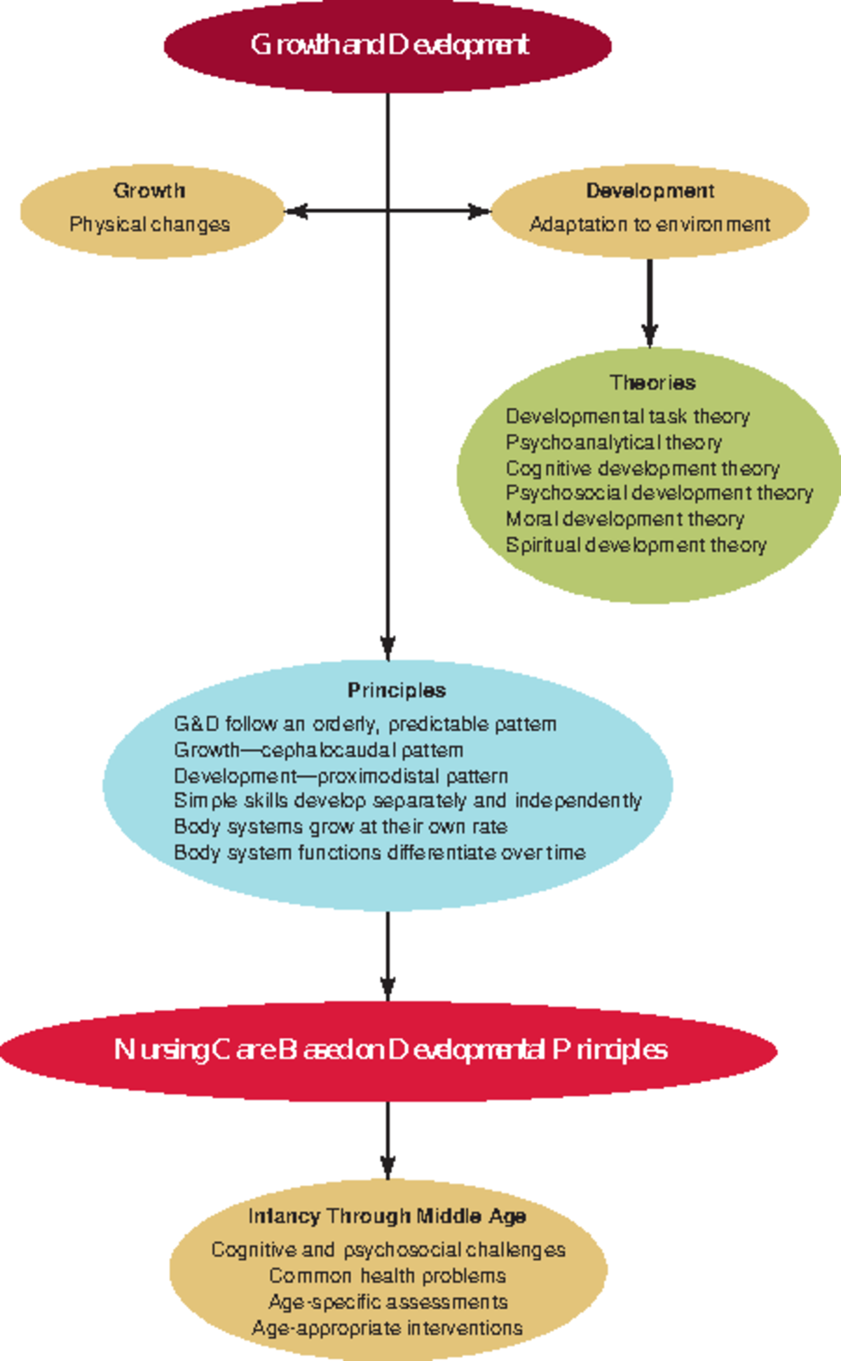 Nursing Care Across the Lifespan: Growth & Development Principles - G ...