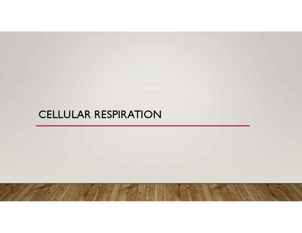 Unit 5: Cellular Respiration Overview—Key Processes and Mechanisms ...