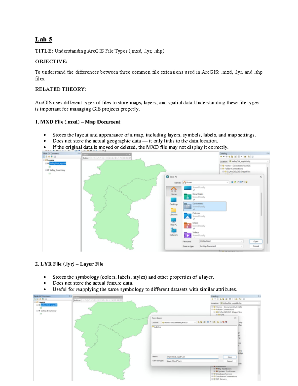 Lab 5: Understanding ArcGIS File Types (.mxd, .lyr, .shp) - Studocu