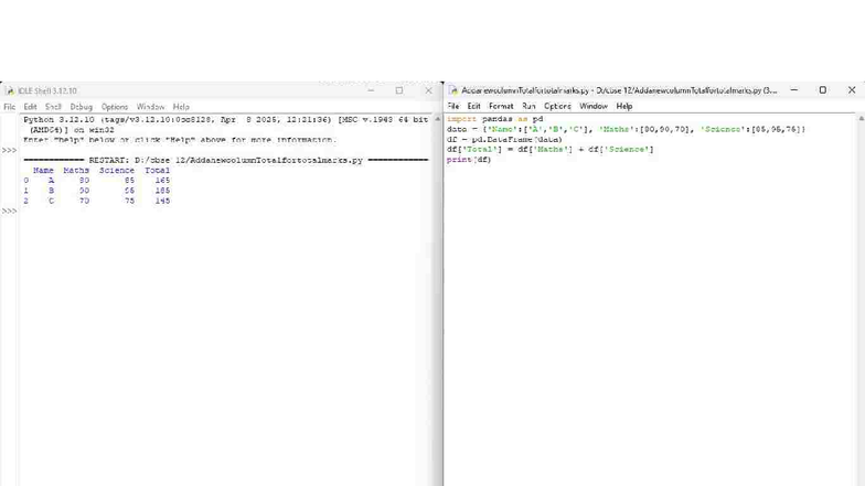 Python 3.12.10 DataFrame Operations and Visualizations - Studocu