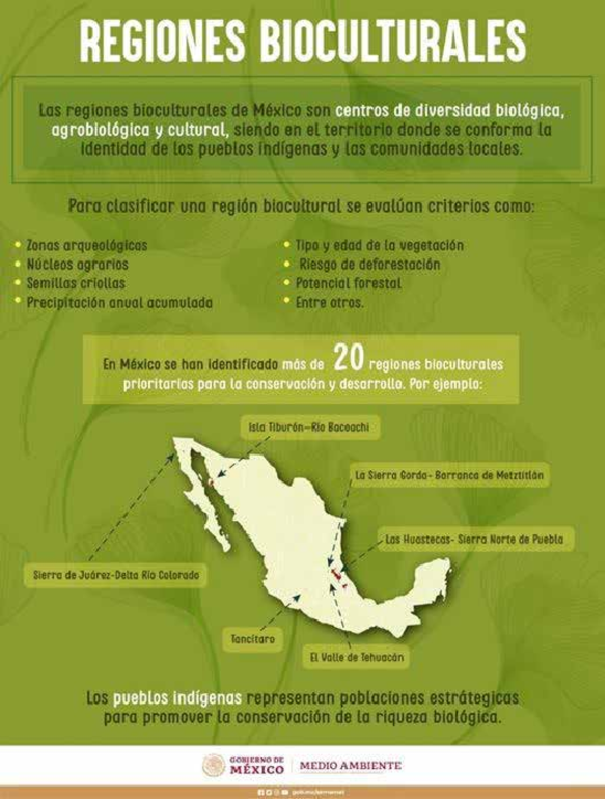 72- Regiones Bioculturales de México: Diversidad y Conservación - Studocu