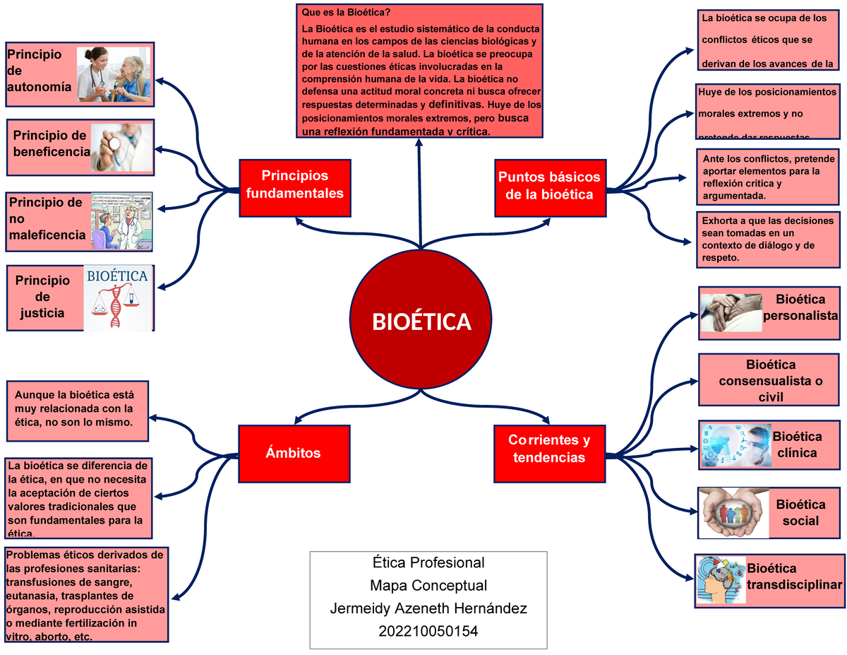Mapa Conceptual de Bioética - Resumen y Principios Fundamentales - Studocu