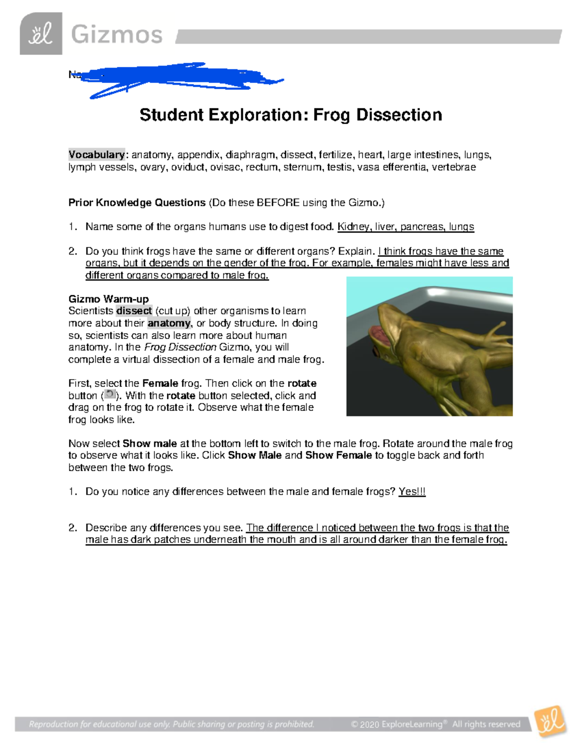Frog Dissection SE - its a summary of the gizmo - Name: James Diaz Date ...