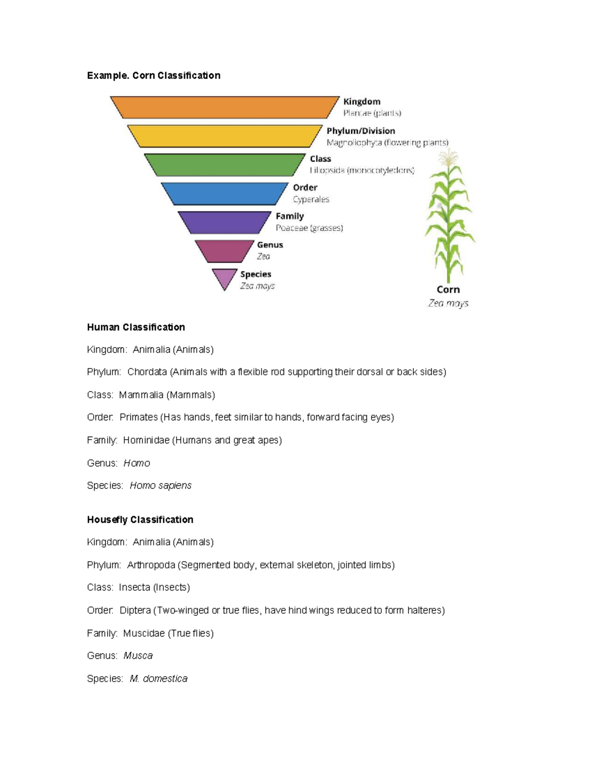 ENTO 105 hw1 - Answers for the Entomology classification assignment ...