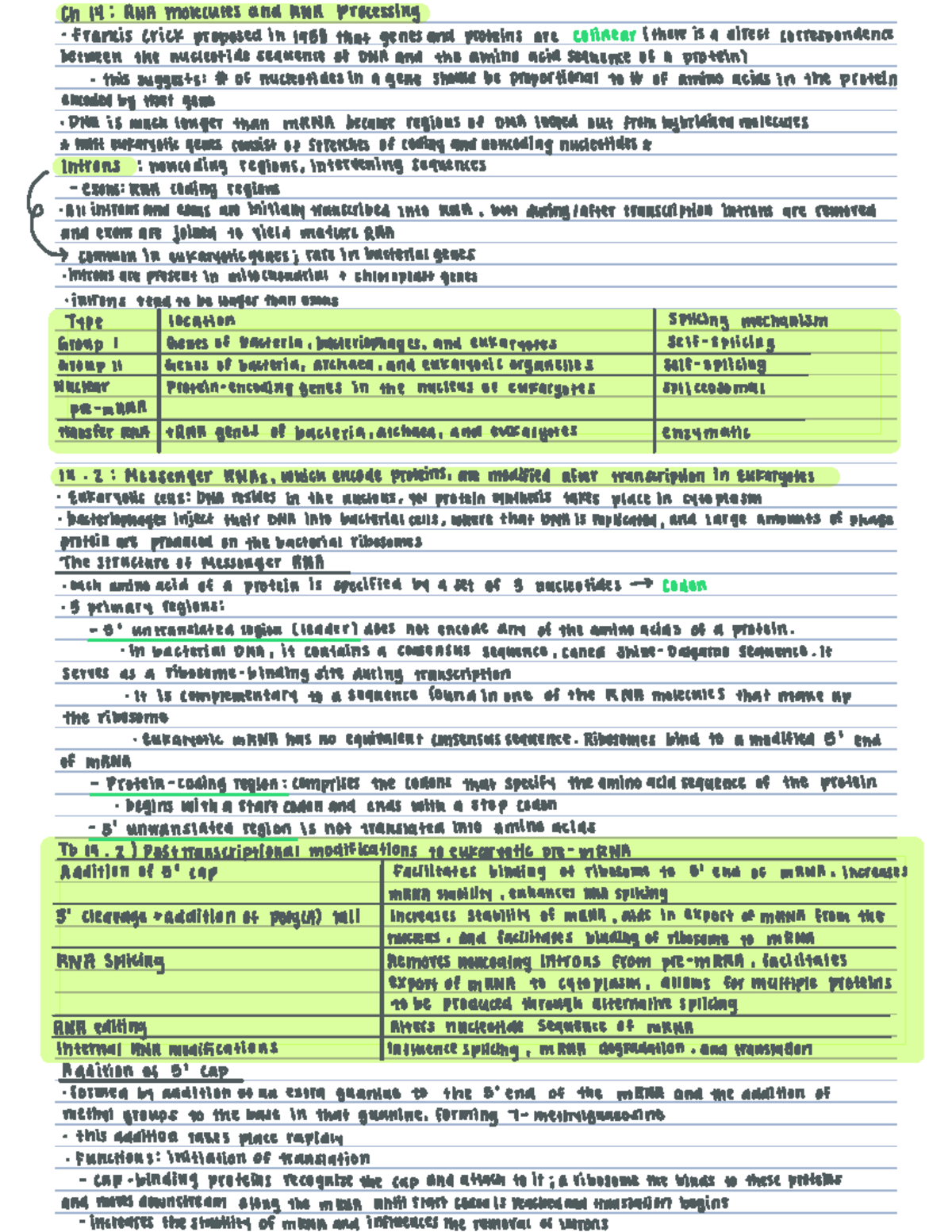 Unit 4 Textbook Notes: RNA Molecules and Processing Insights - Studocu