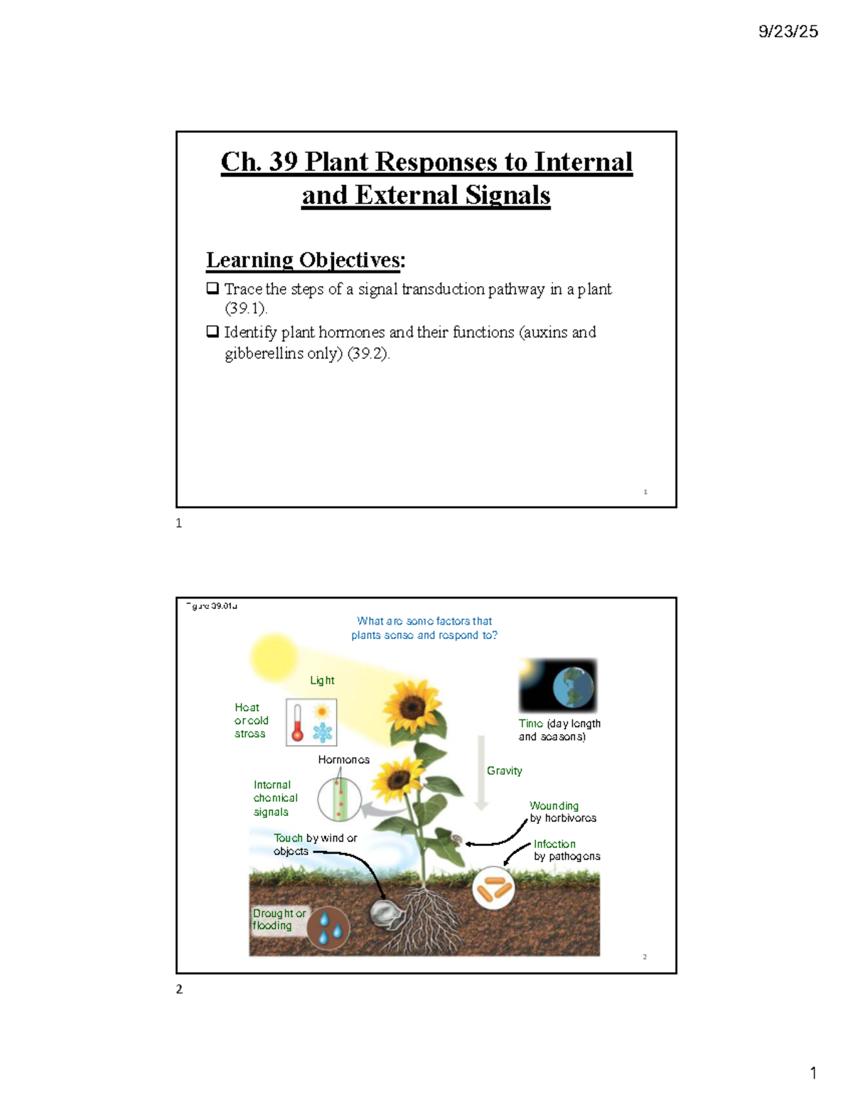 BY 124 Ch. 39: Plant Responses to Signals - Study Notes - Studocu