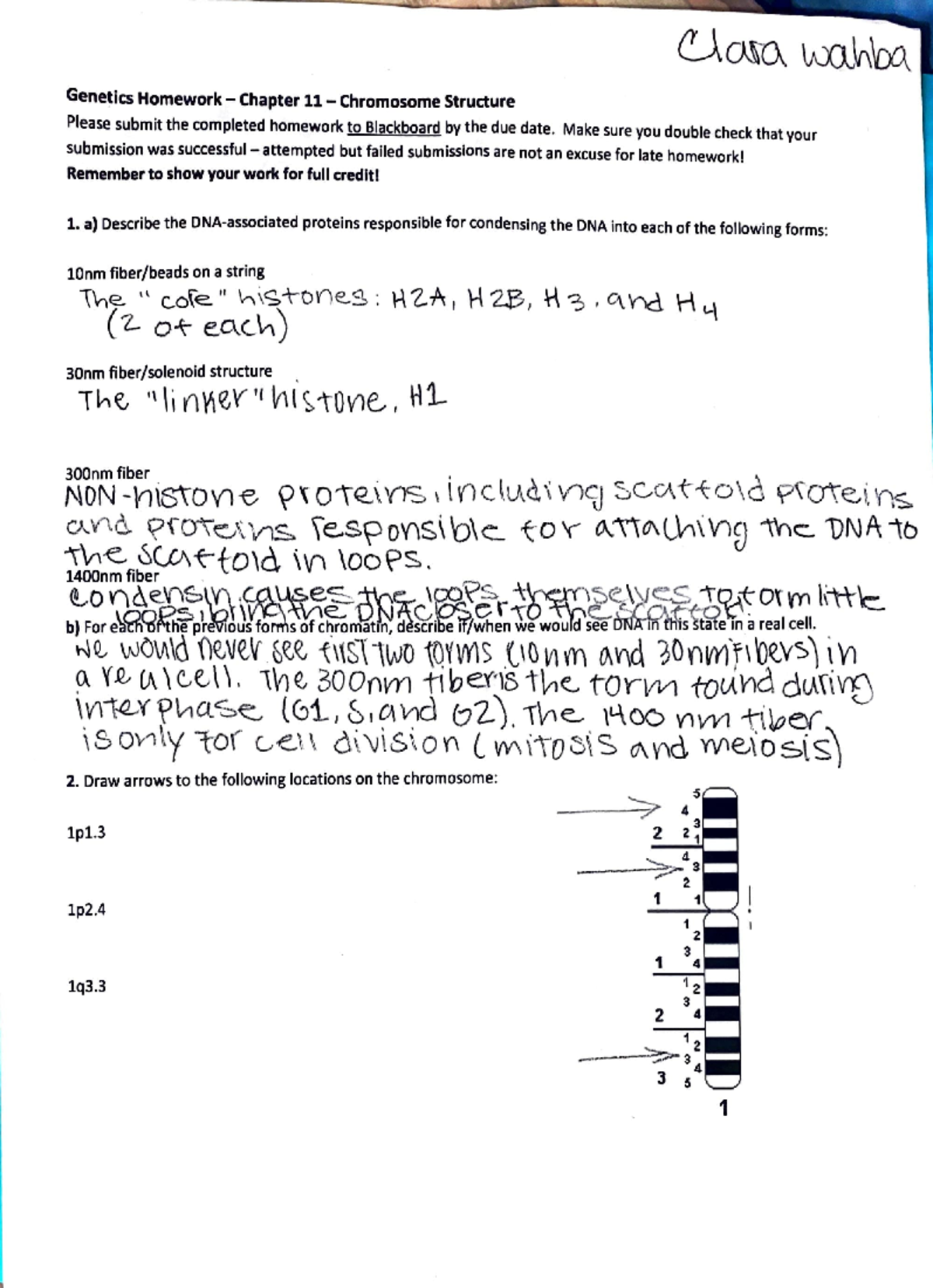 Chapter 11 BIOL 310 - ####### GeneticsHomework-Chapter 11 ...