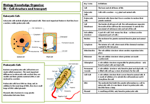 Detailed Notes - Topic 5 Homeostasis and Response - AQA Biology GCSE ...