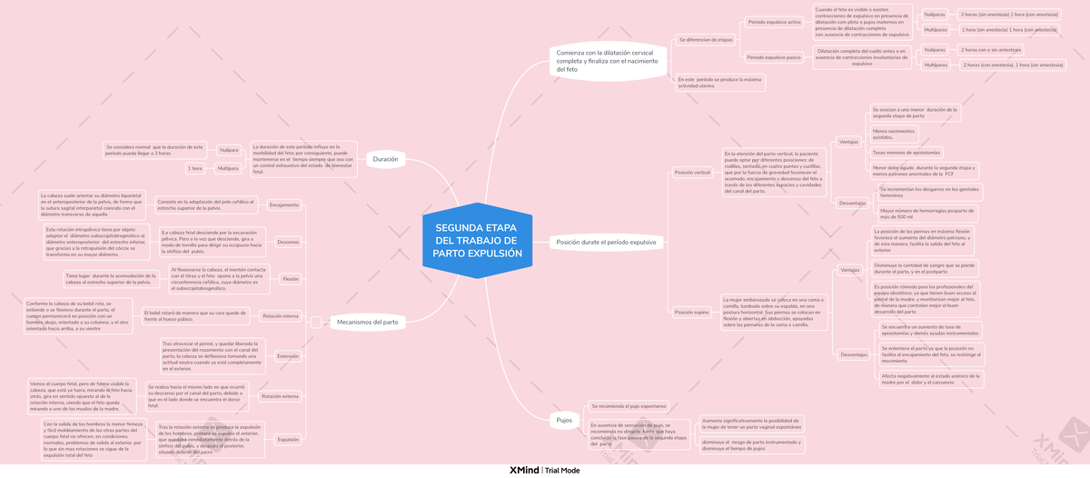 Segunda Etapa DEL Parto: Expulsión y Mecanismos Clave - Studocu
