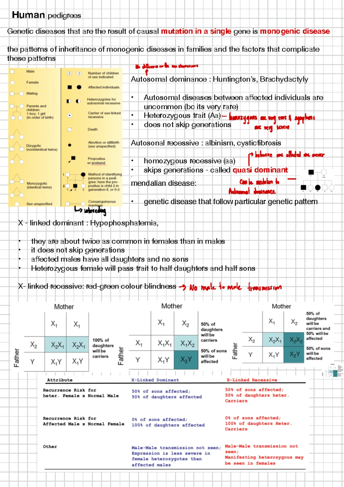 BIOL0010 Human Genetics Hardy-Weinberg Principle - Hardy-Weinberg ...