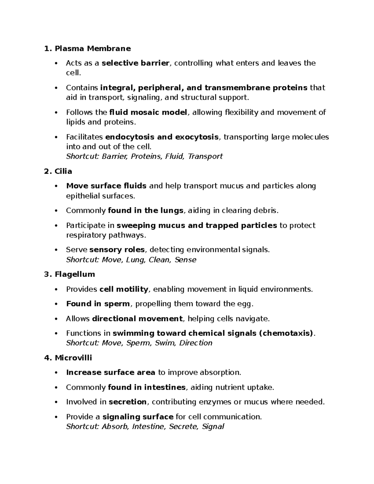 Cellular Structure and Function Overview: Key Organelles (BIO101) - Studocu