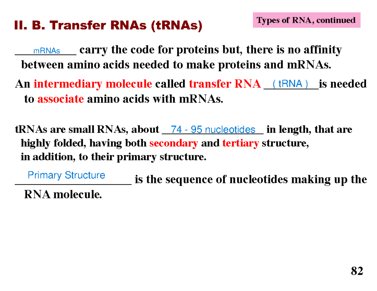 Lecture 7 - tRNA and Translation Notes (Biology 101) - Studocu