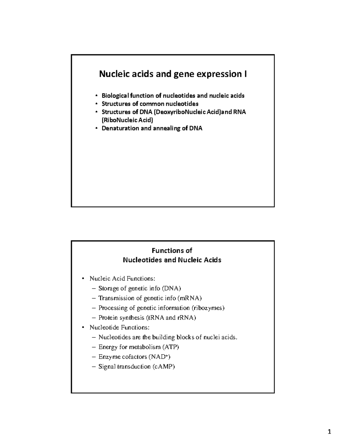 Biol 410 Lecture 10: Nucleic Acids & Gene Expression Overview - Studocu