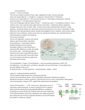 Fundamentals in neuroscience - LMU Fundamentals in Neuroscience Master ...