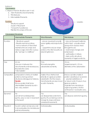 Practical 2 lab report - Lab Report Introduction to histological ...