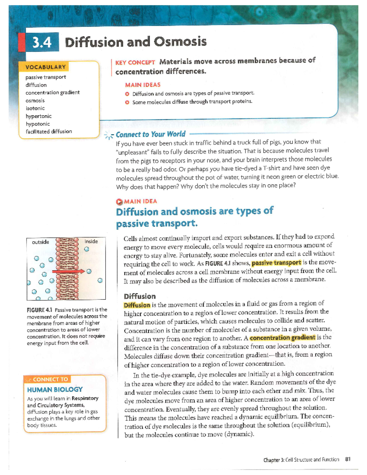 Biology 101 Lecture Notes: Diffusion, Osmosis & Active Transport - Studocu