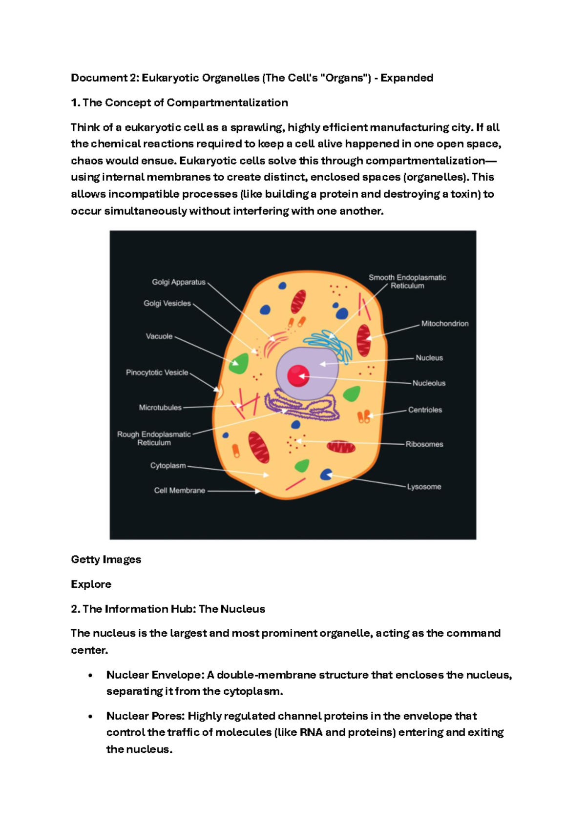Eukaryotic Organelles Overview: Key Functions & Structures (Bio 101 ...