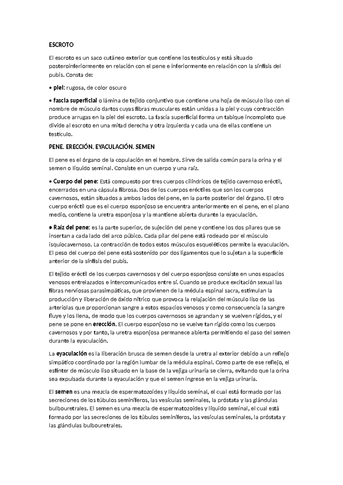 Escroto y pene: anatomía y función del aparato reproductor masculino ...