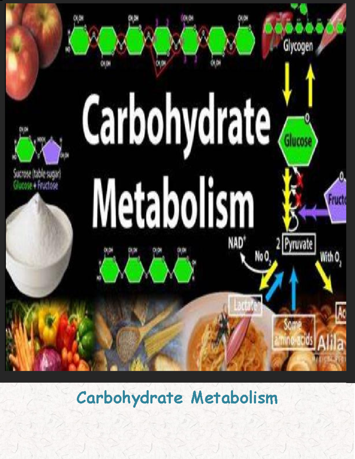 Nutritional metabolism lecture 2 Hu N 2024 - Carbohydrate Metabolism ...
