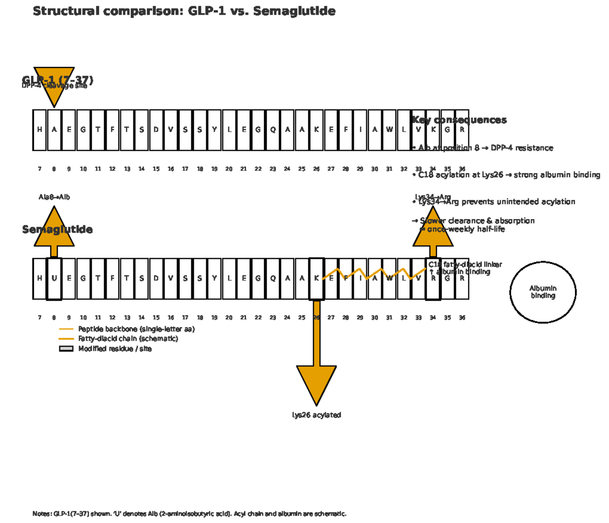GLP 1 vs. Semaglutide Structural Comparison (GLP 1 (7 37)) - Studocu