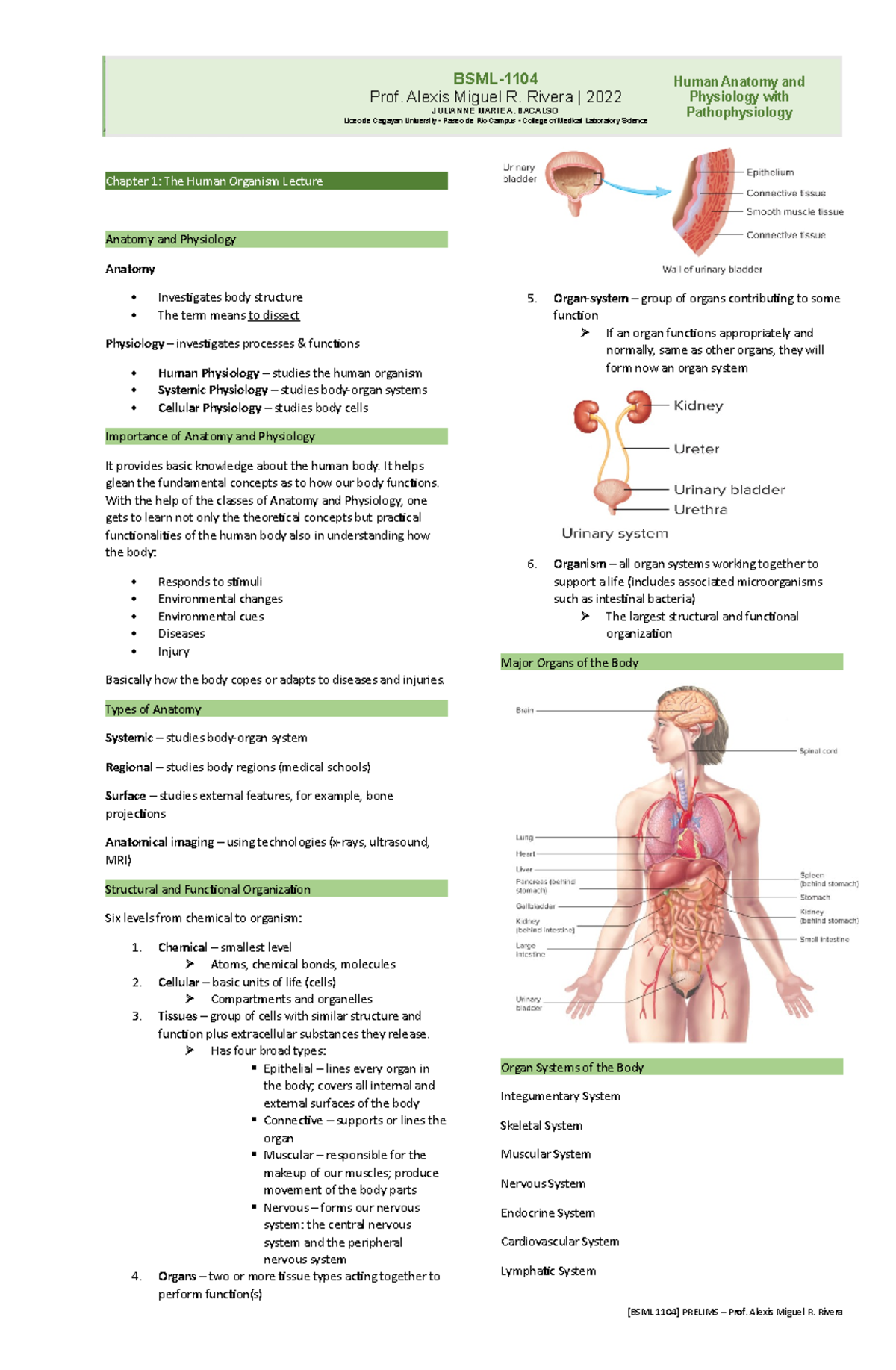 Anatomy and Physiology Lecture 1: Human Organism Overview [BSML 1104 ...
